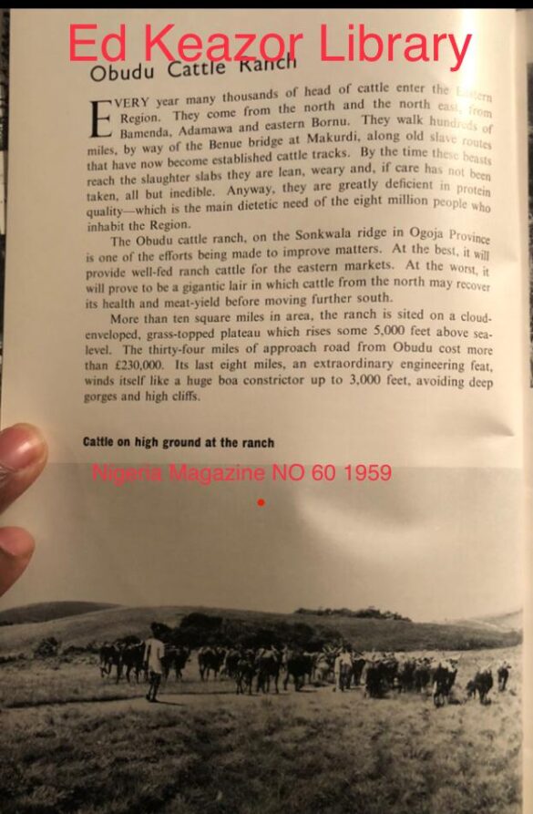 Africa: Archives reveals the History of Obudu Ranch Resort and how Dr ...