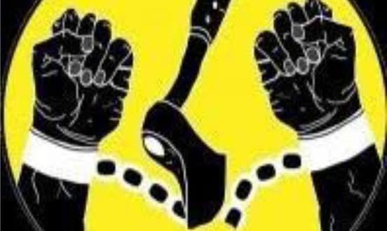 Tourism: Neo Black Movement of Africa (NBM) distances self from ...