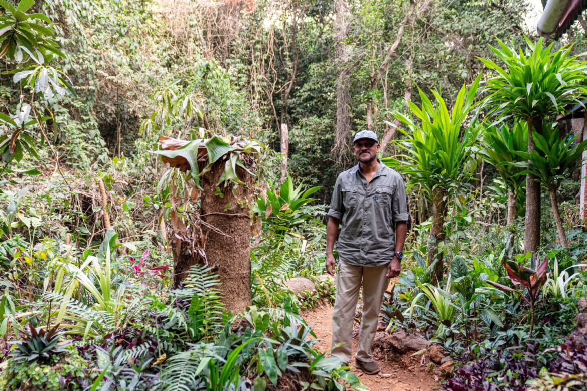 Africa: Meet the 3 Trailblazers Transforming Sierra Leone's Tourism ...