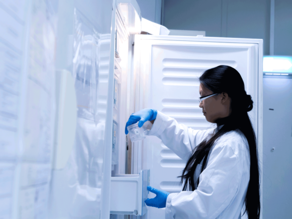 Aviation: IATA and Pharma.Aero Collaborate to Boost Certification for ...