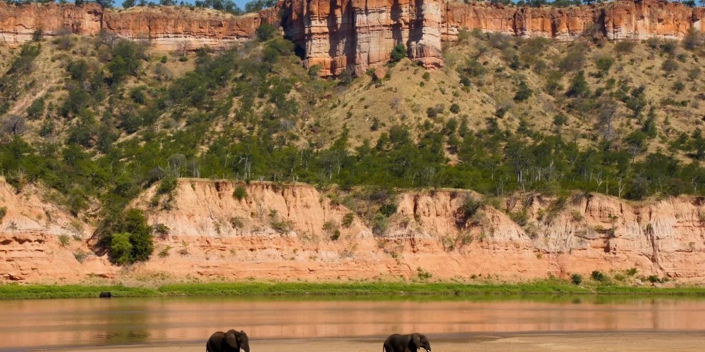 Africa: Zimbabwe and South Africa Approve New Tourist Only Border ...