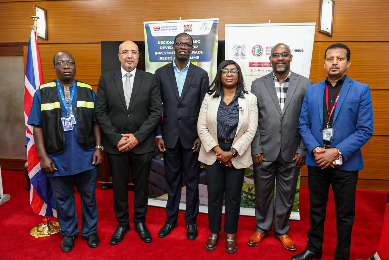 Africa: Kenya launches first export of apple mangoes to the UK, opening ...